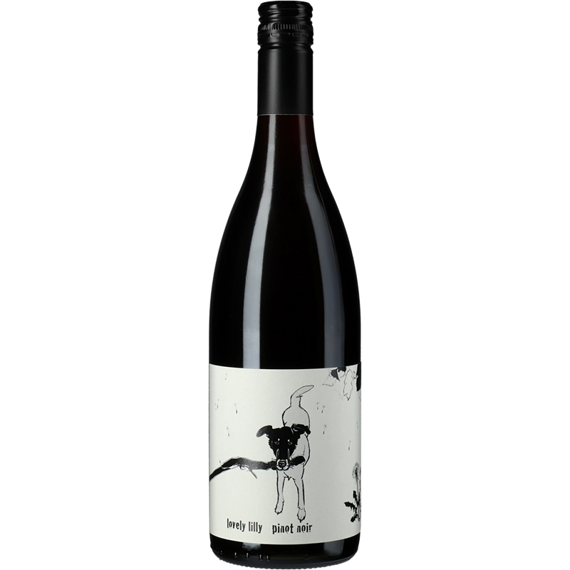 PINOT NOIR LOVELY LILLY - SHELTER WINERY German Red Wine