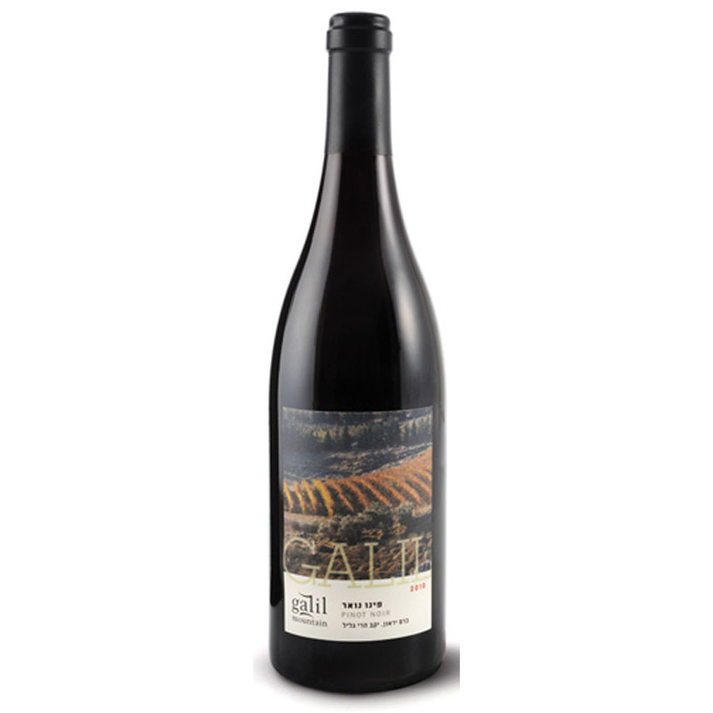 PINOT NOIR - GALIL MOUNTAIN 08/10 KOSHER Israeli Red Wine