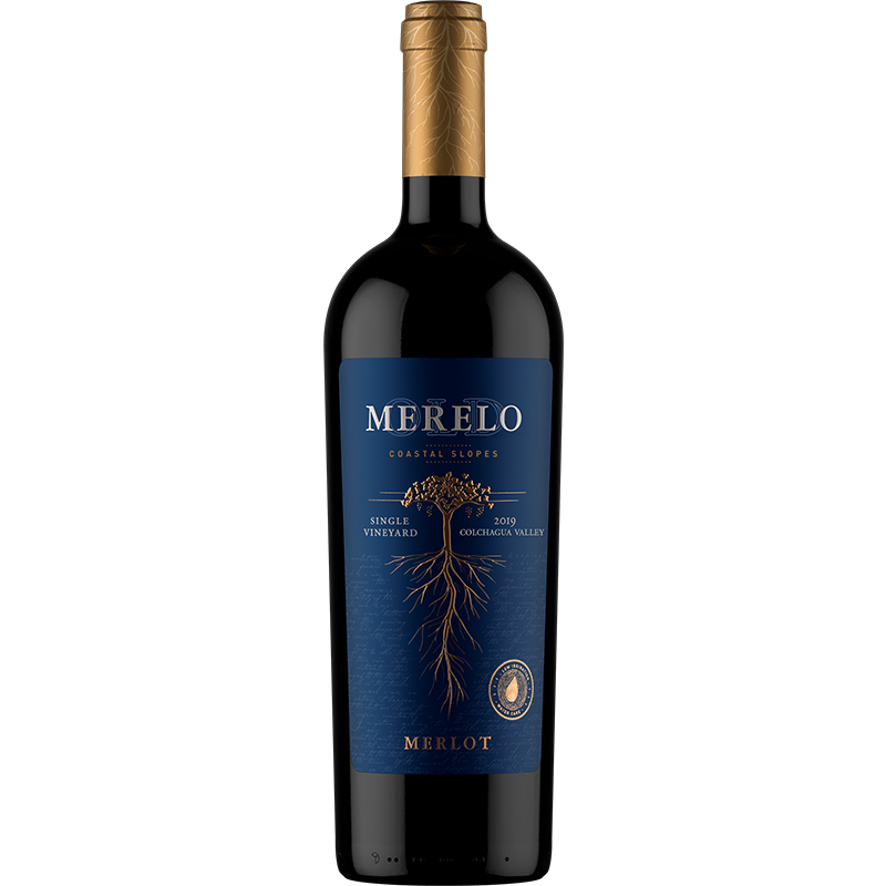MERLOT - OLD MERELO COLCHAGUA 2019 Chilean Red Wine